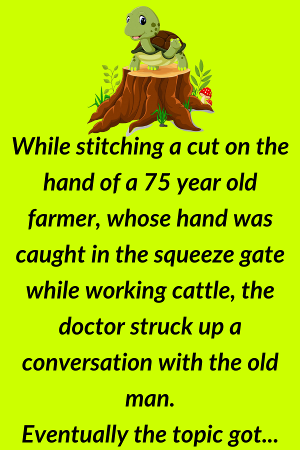 The ‘Post Turtles’ - GoForJoke